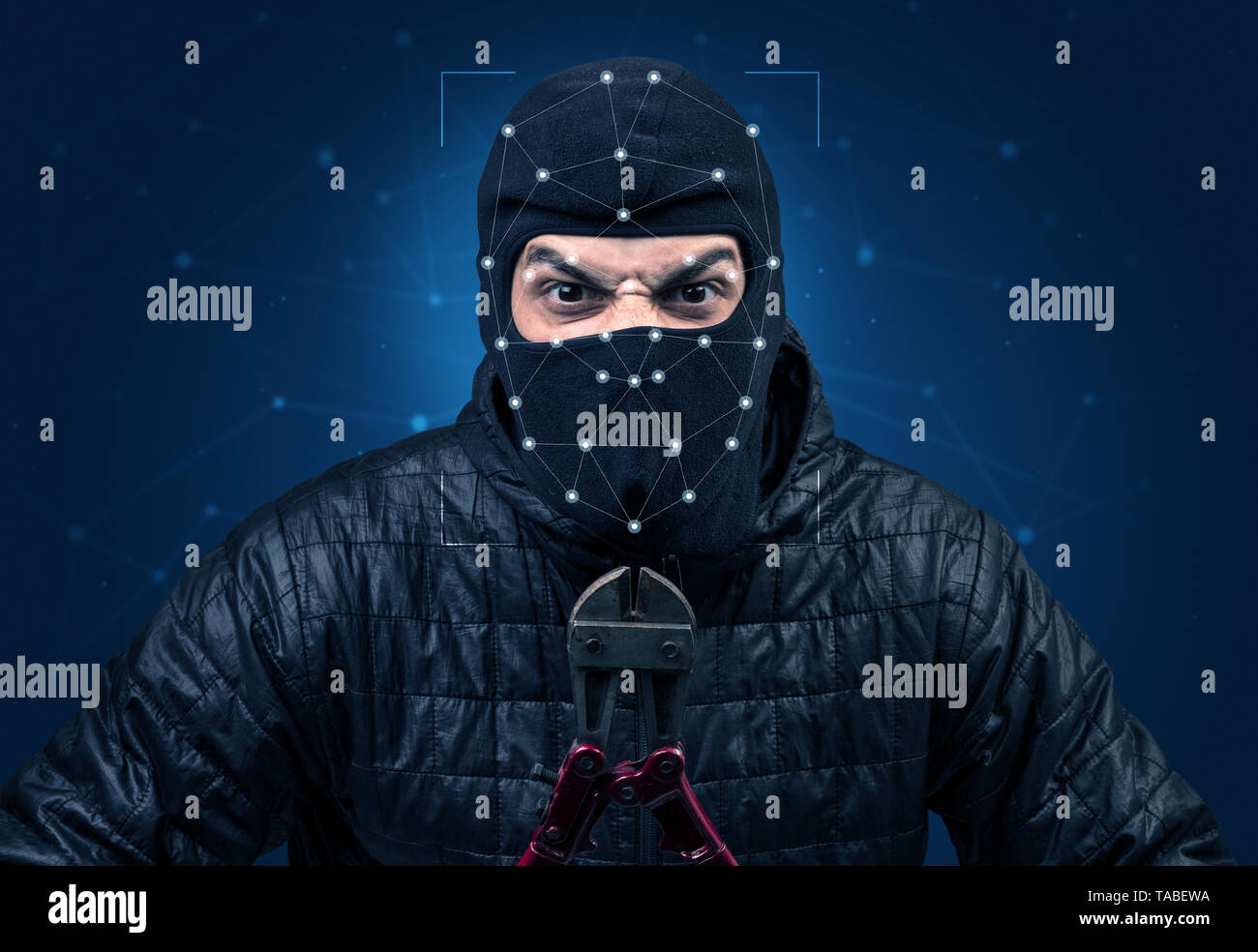 Recognition of a face by layering a mesh. Biometric verification and ...