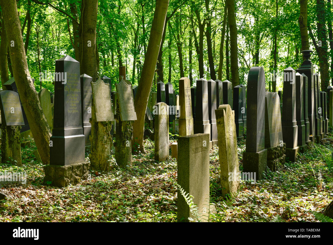 Jewish cemetery, Herbert tree street, white lake, Pankow, Berlin ...