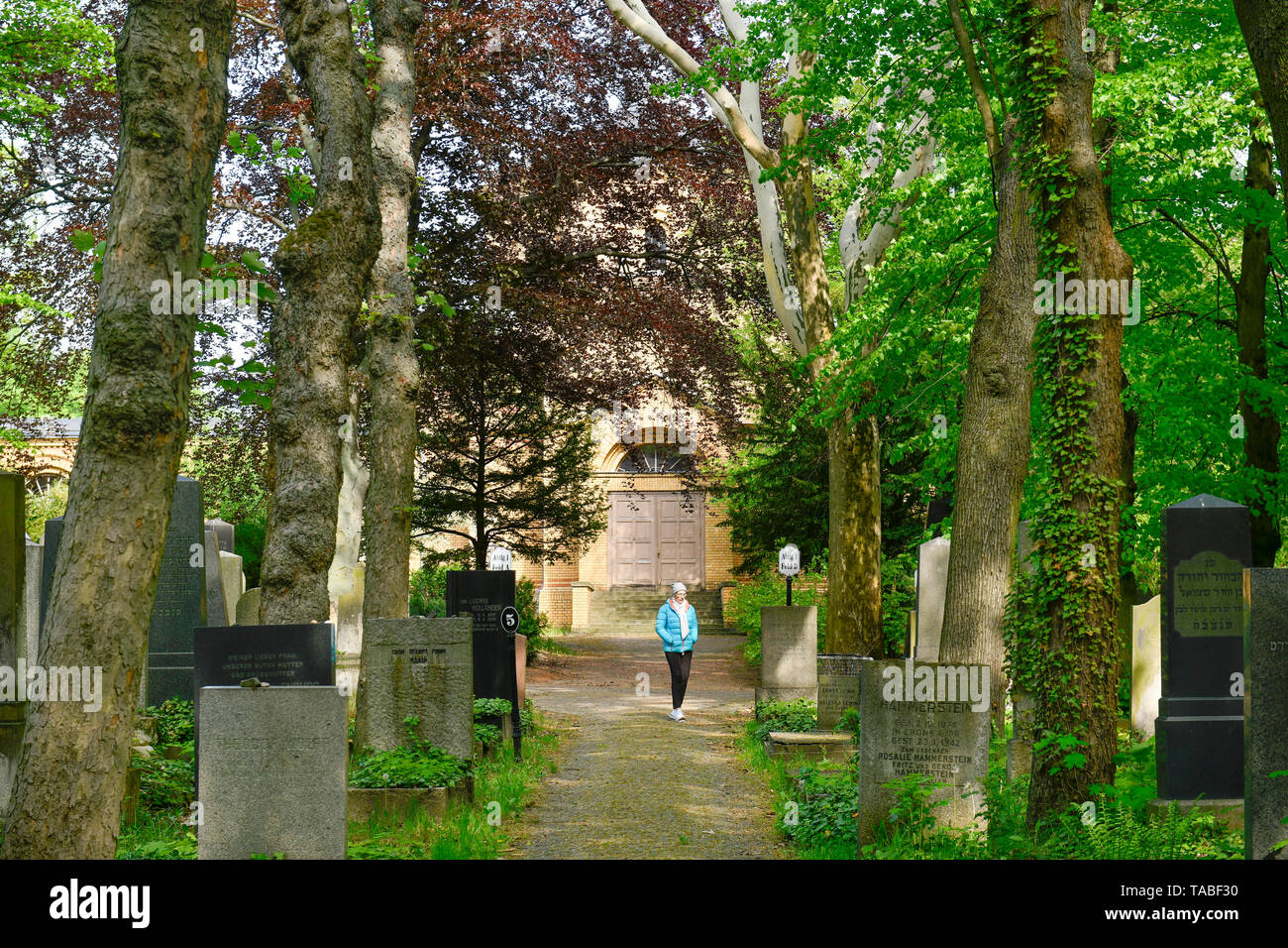 Jewish cemetery, Herbert tree street, white lake, Pankow, Berlin ...