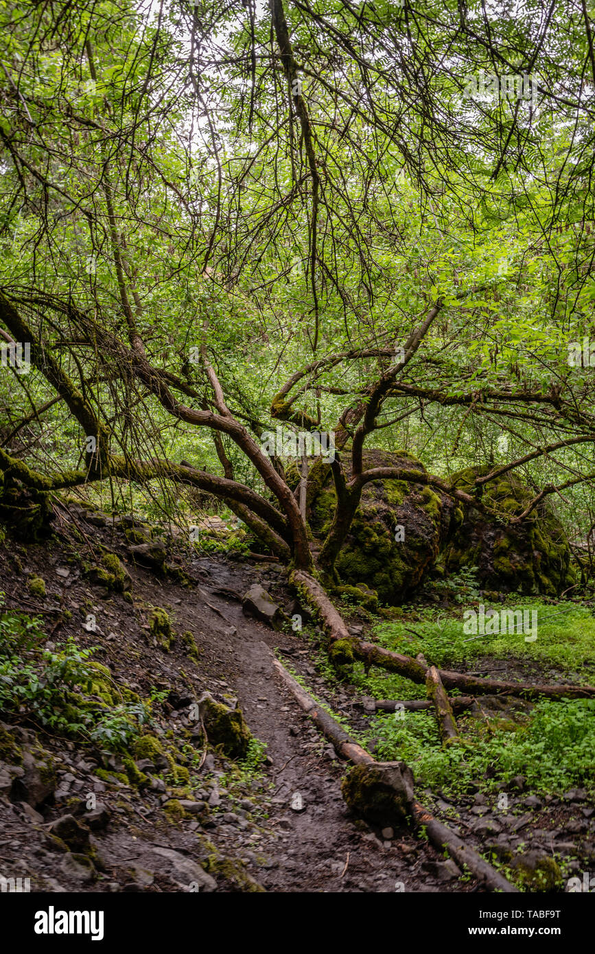Creek Bottom In Palisades Park Stock Photo - Alamy