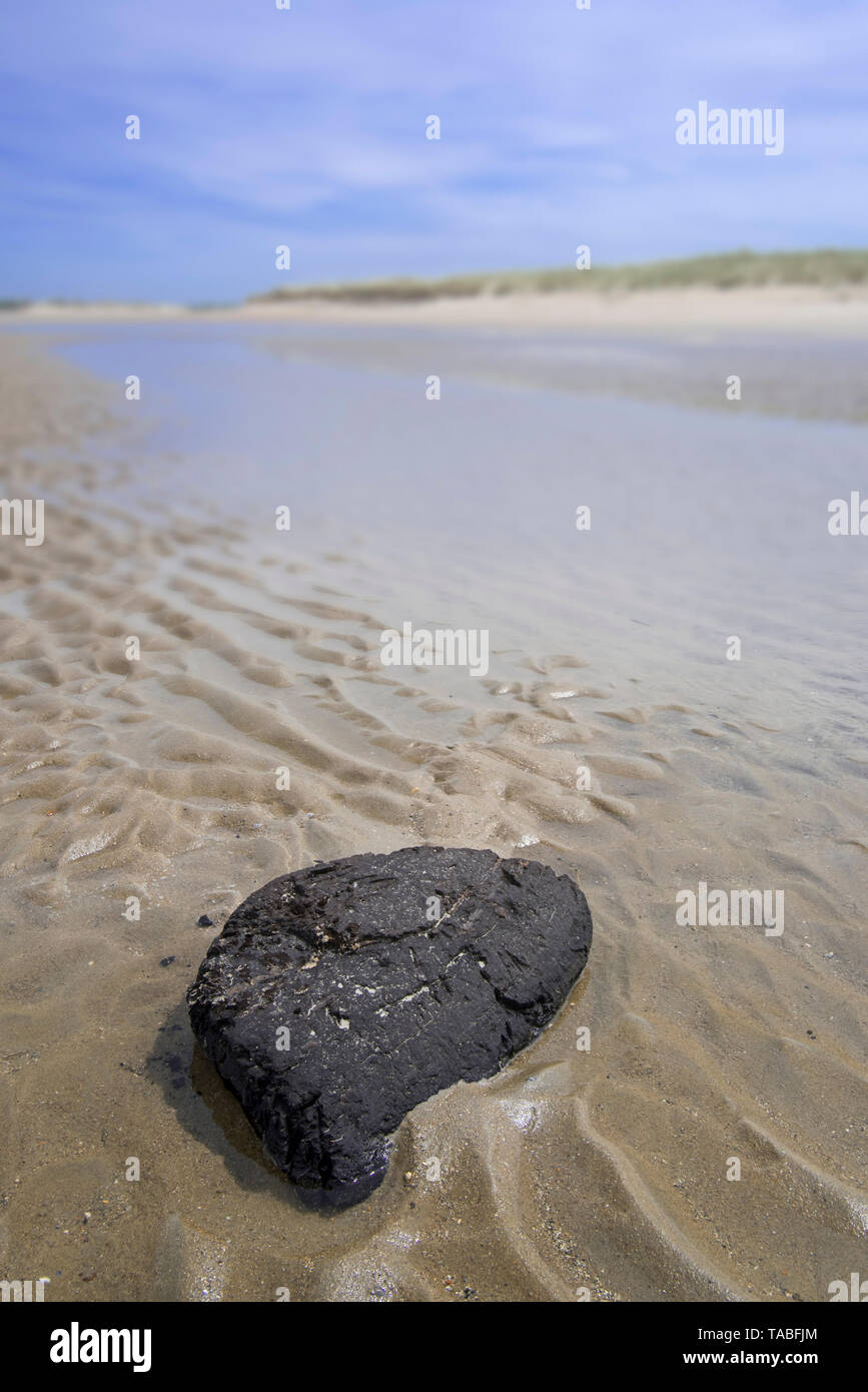 Black chunk of turf from exposed peat layer on the seabed washed ashore ...