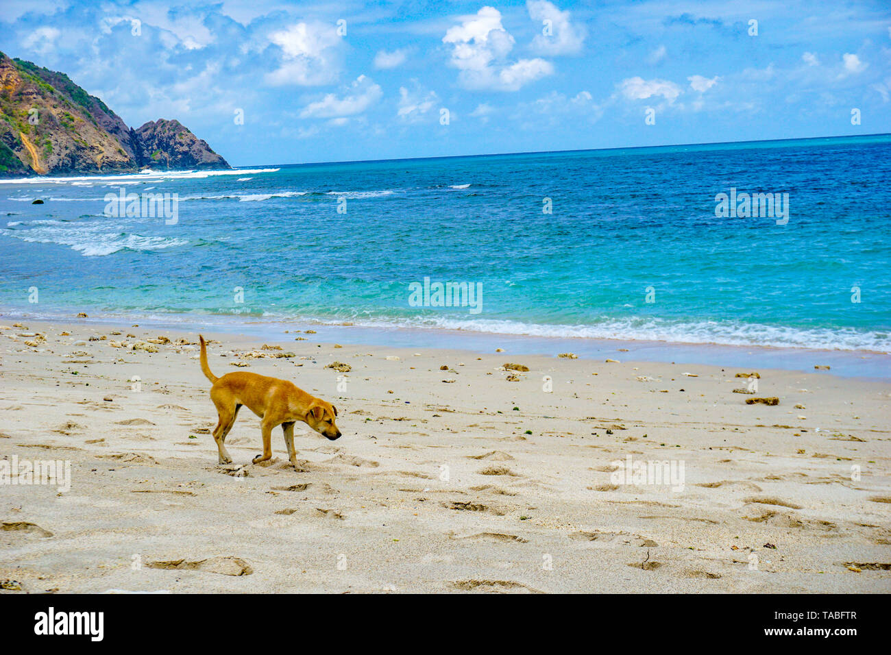 The Best Beach Scene