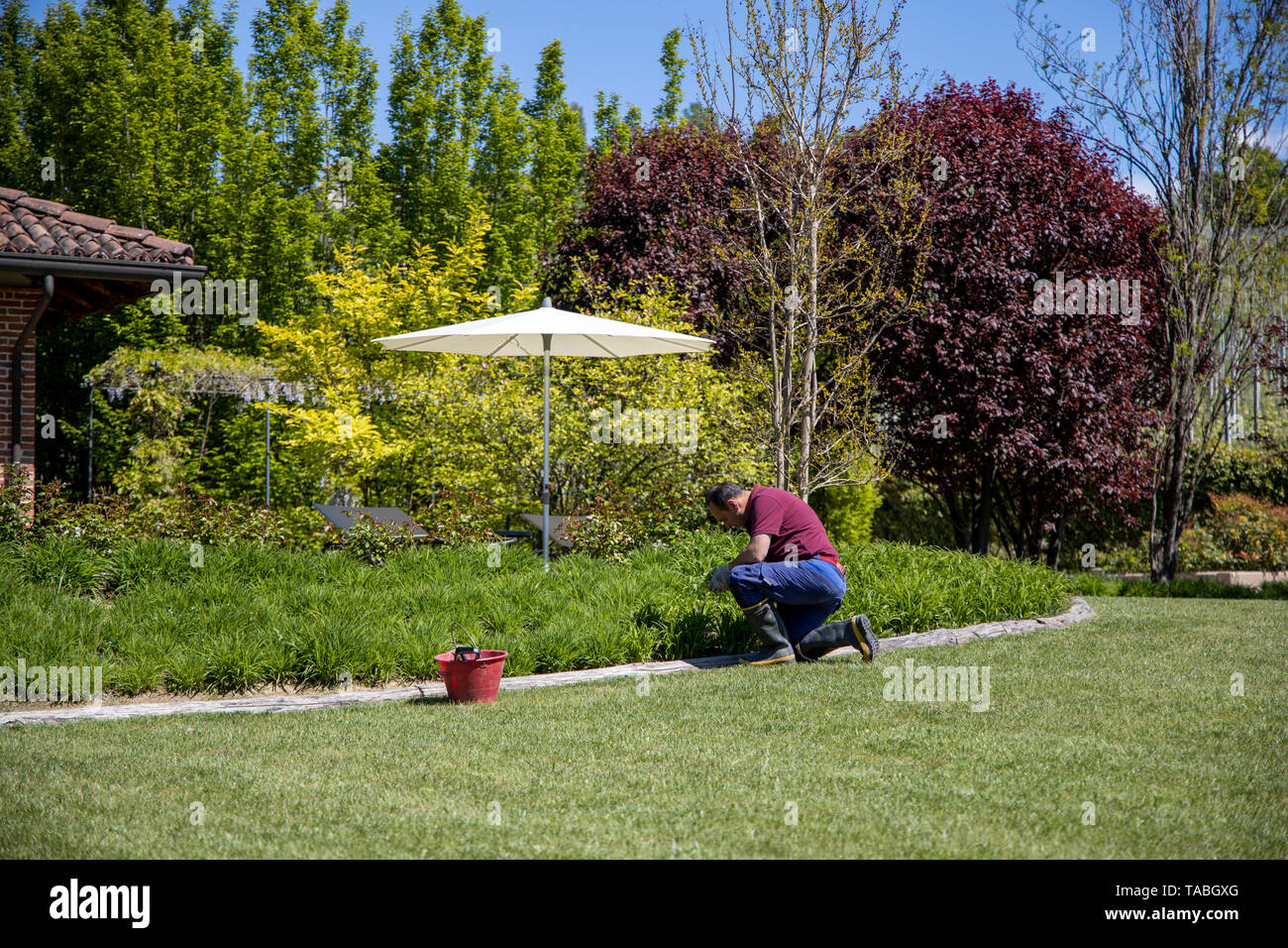 Professional gardener working in hi-res stock photography and images ...