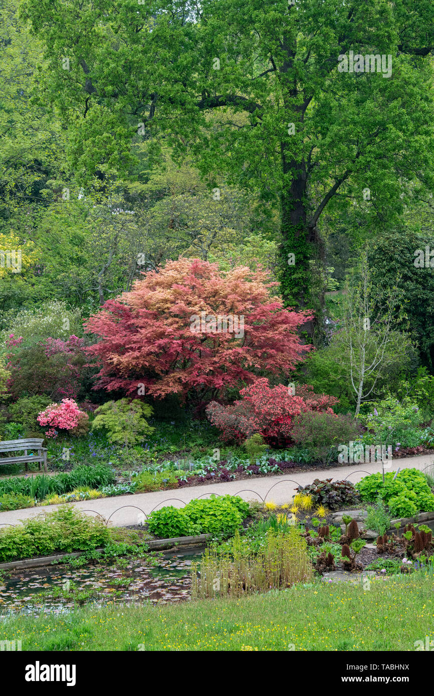 RHS Wisley Gardens in spring, Surrey, England Stock Photo - Alamy