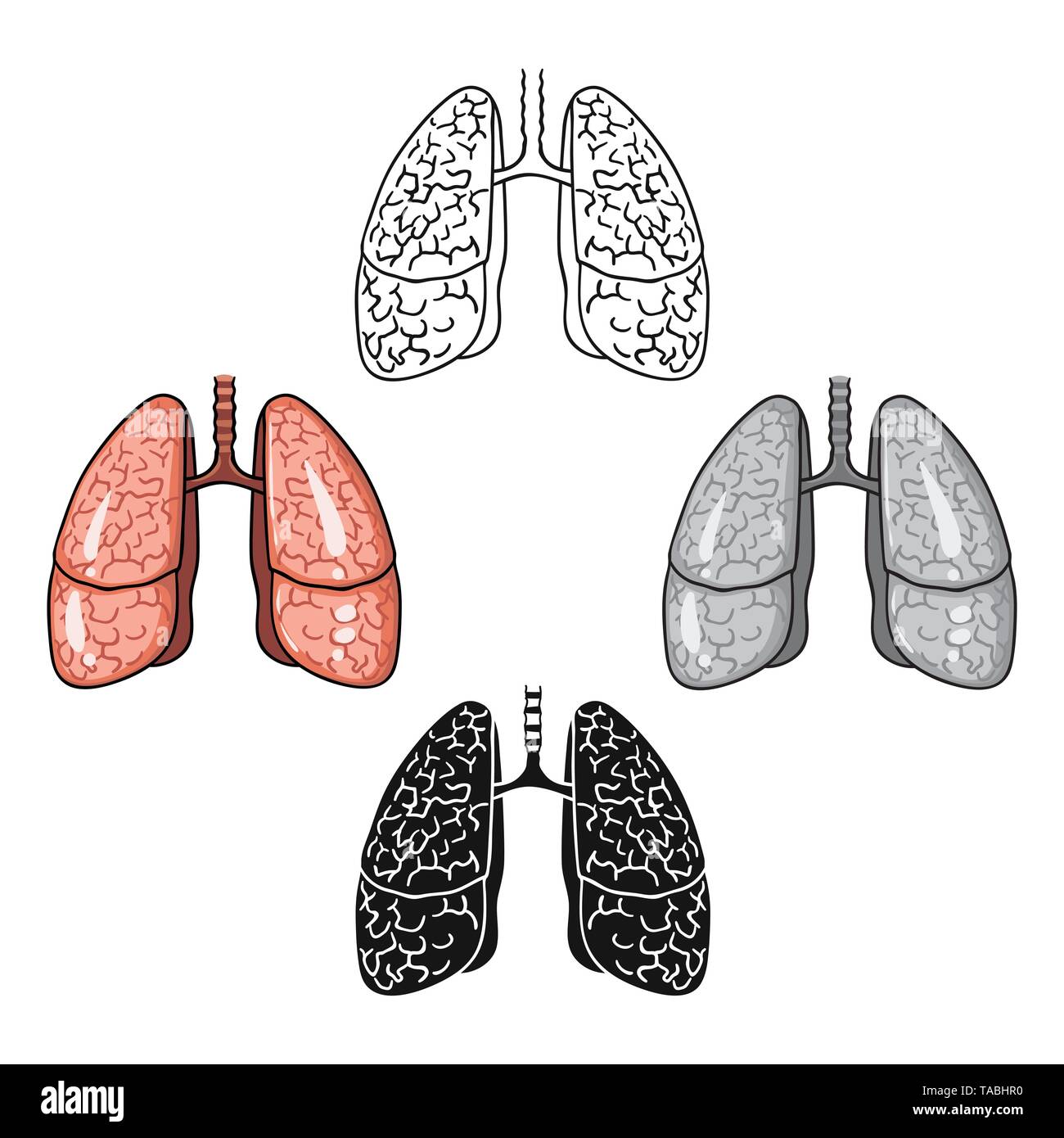 anatomical,anatomy,art,biology,body,breath,breathe,breathing,bronchi ...