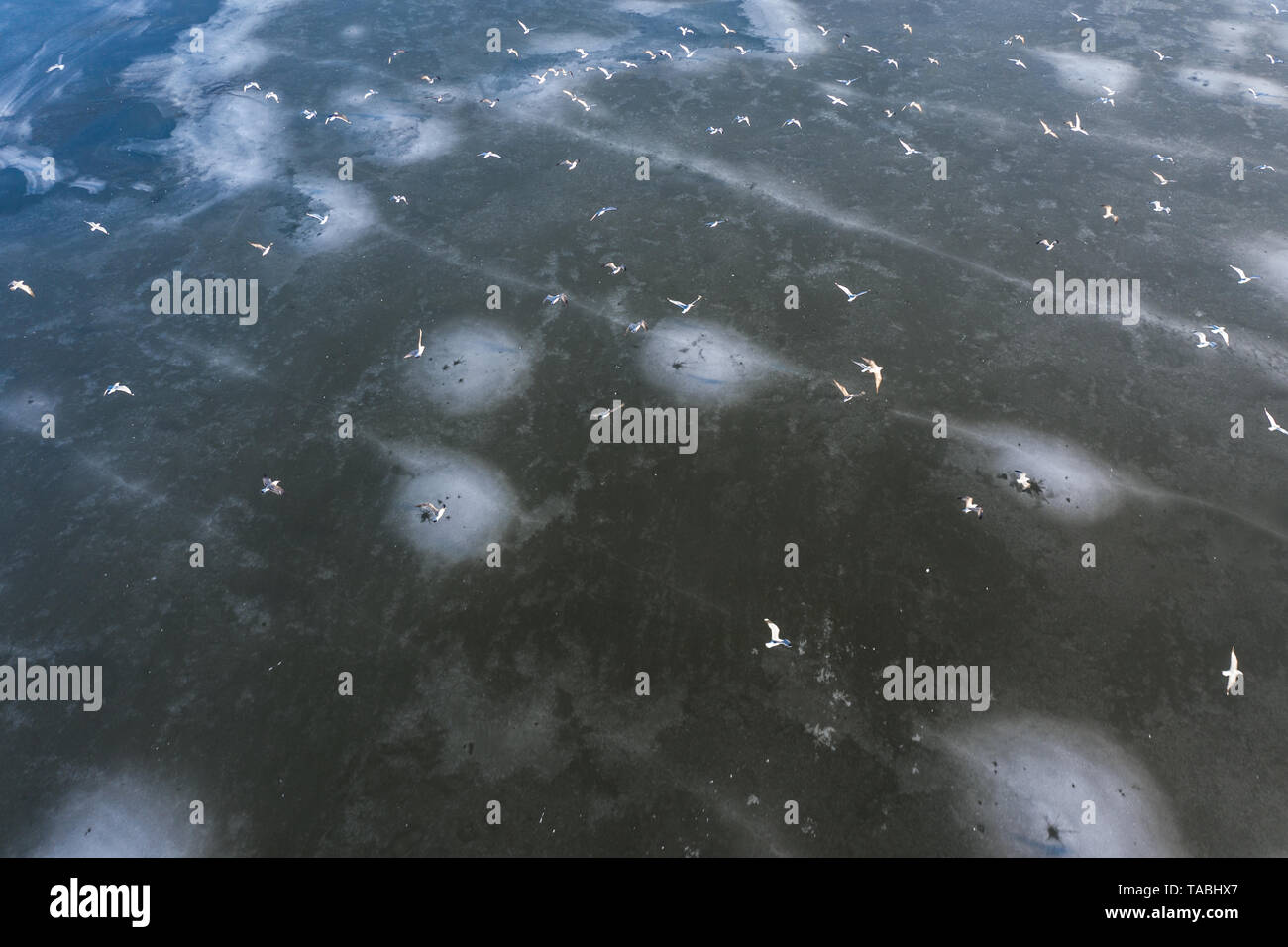 Overhead shot lake hi-res stock photography and images - Alamy
