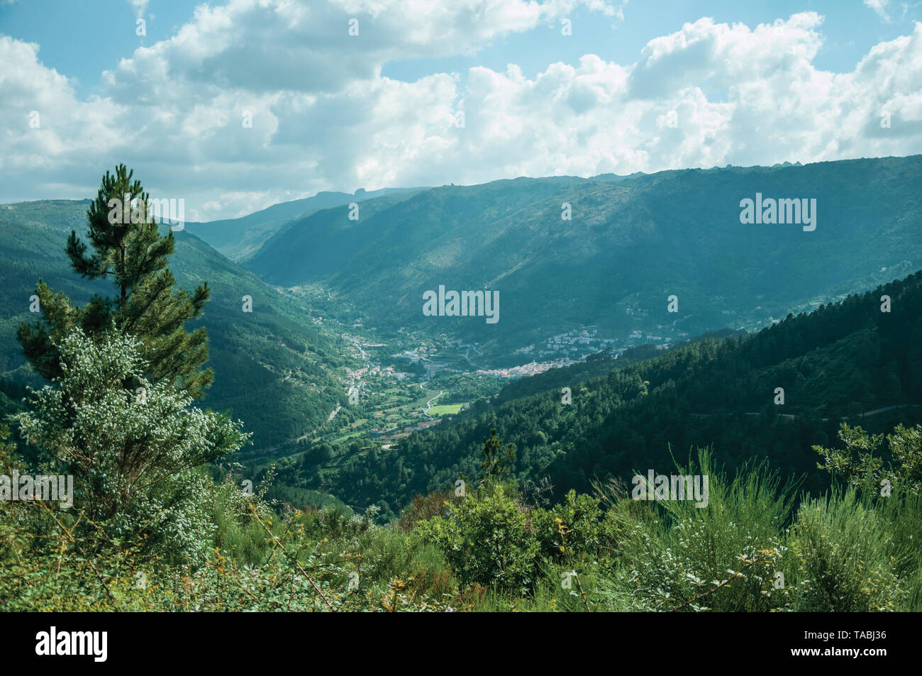 The long wooded valley of Zezere River with de Manteigas village ...