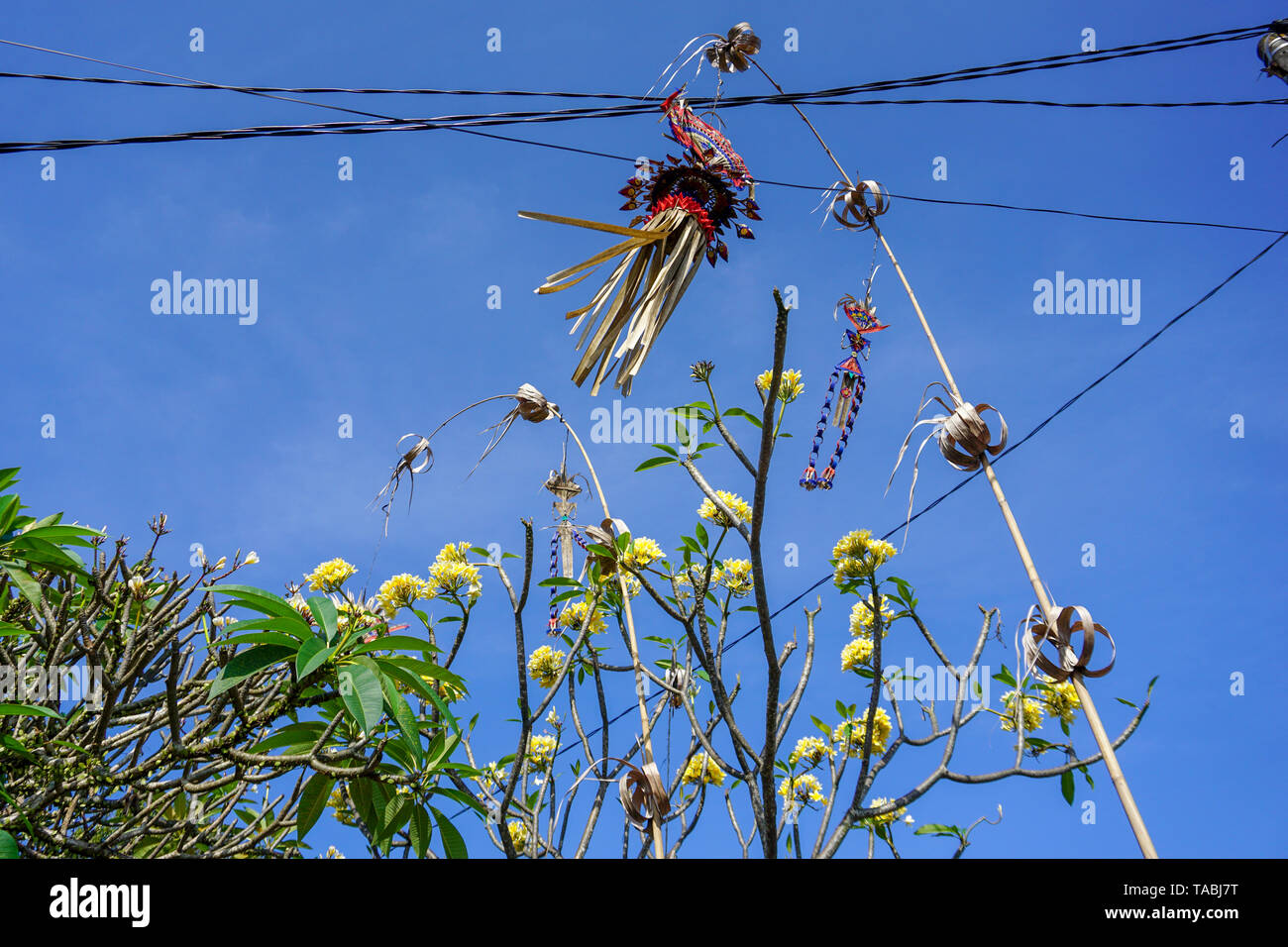 Traditional ceremonial umbrellas and flags over the lines, rituals, art ...