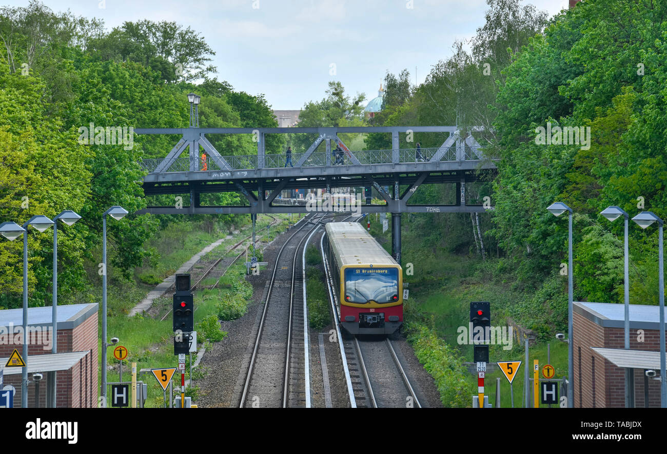 Monument bridge, beauty's mountain, Berlin, Germany, Monumentenbrücke ...