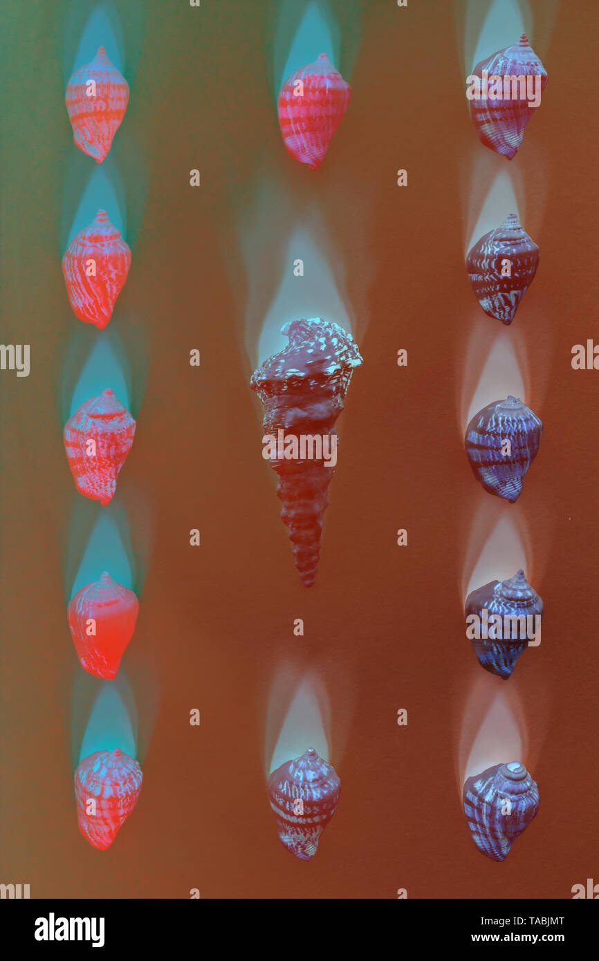 Frame of beautiful seashells in blue, red, pink and living coral color ...