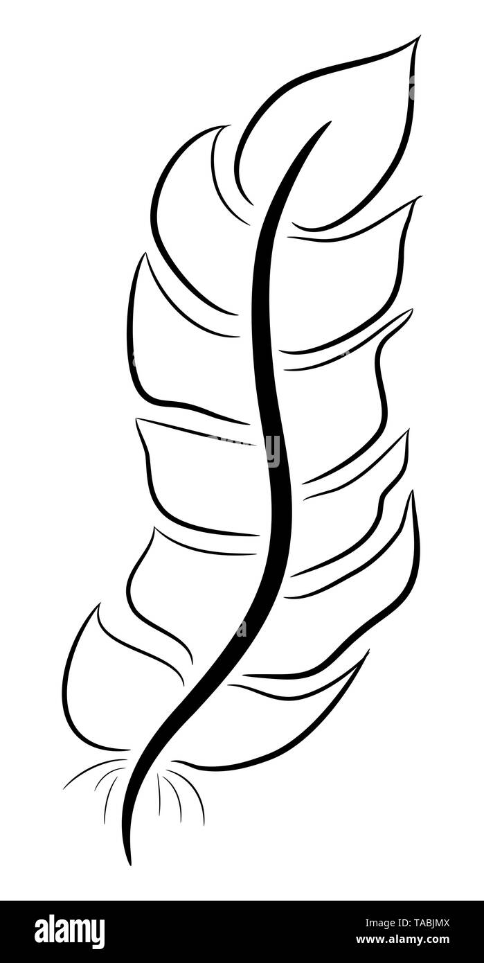 Feather vector icon isolated on white background Stock Vector Image ...