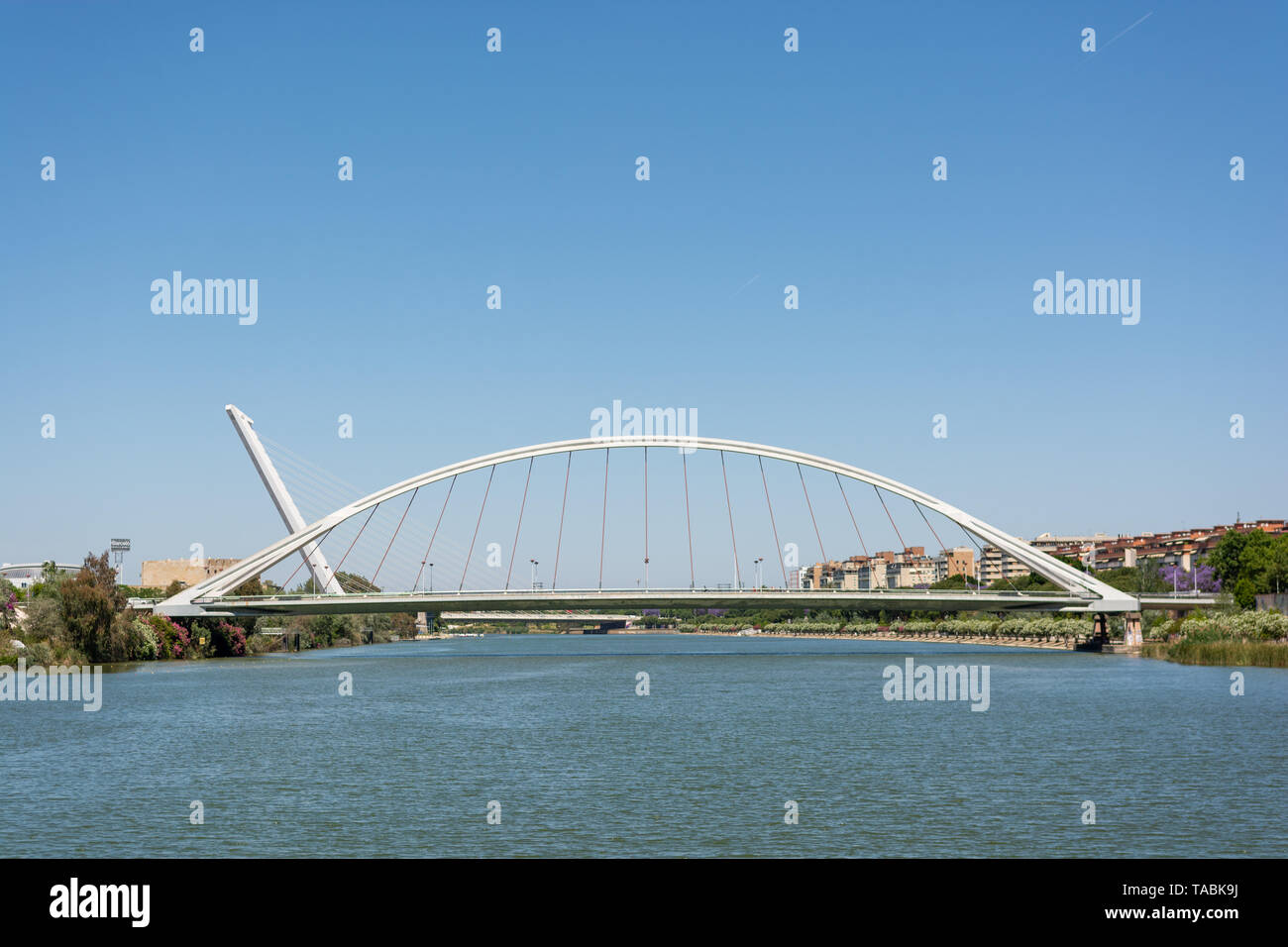 Barqueta's Bridge with the single tower of Puente del Alamillo behind ...
