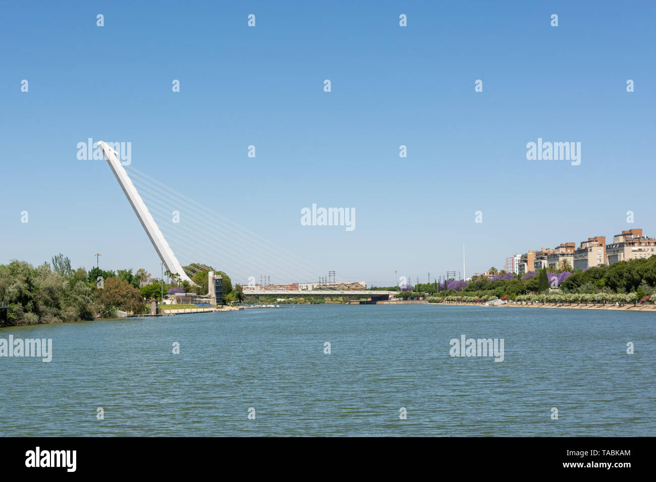 Alamillo bridge design hi-res stock photography and images - Alamy