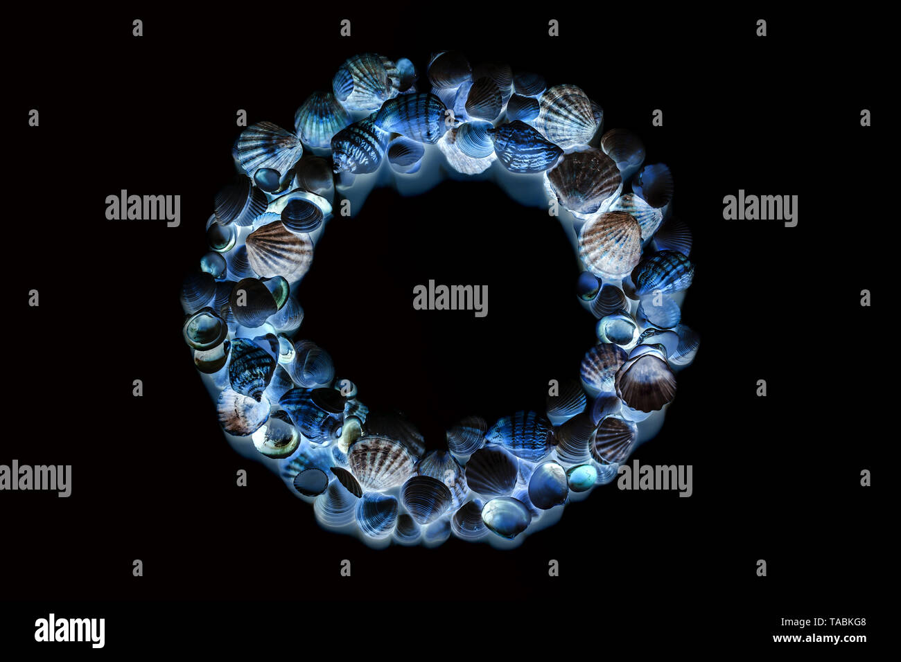 Different seashells circle frame of blue neon light color isolated on ...
