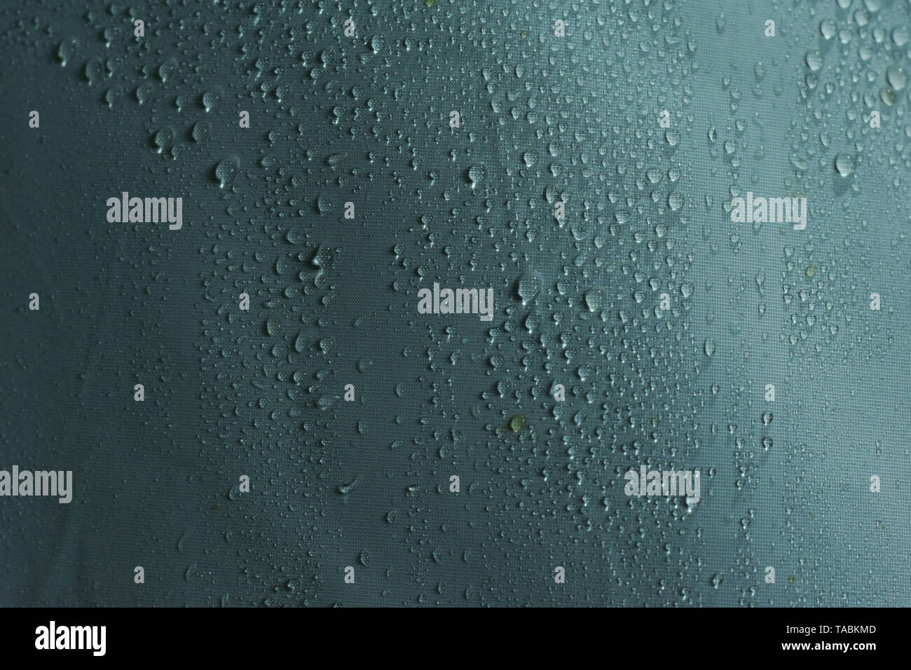 Water drops close up. Abstract white background of waterdrops Stock ...