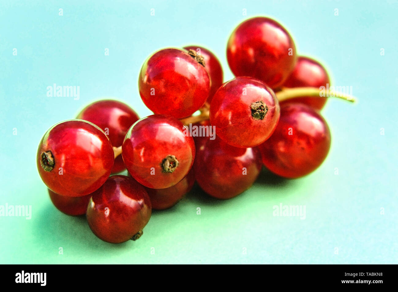 Bunch Of Red Currents High Resolution Stock Photography and Images - Alamy