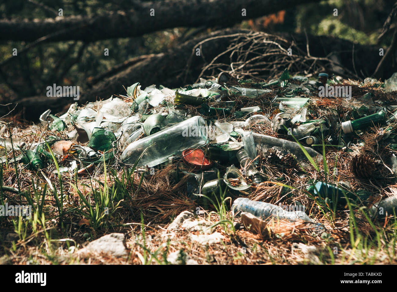 Pollution of the environment. Garbage pile in the forest. Waste or ...