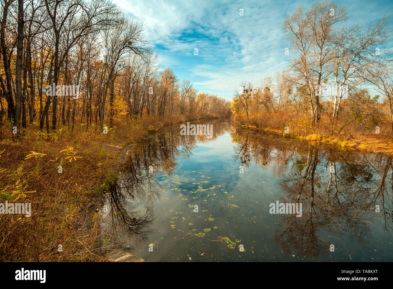 Autumn landscape. Trees without leaves along a calm river with ...