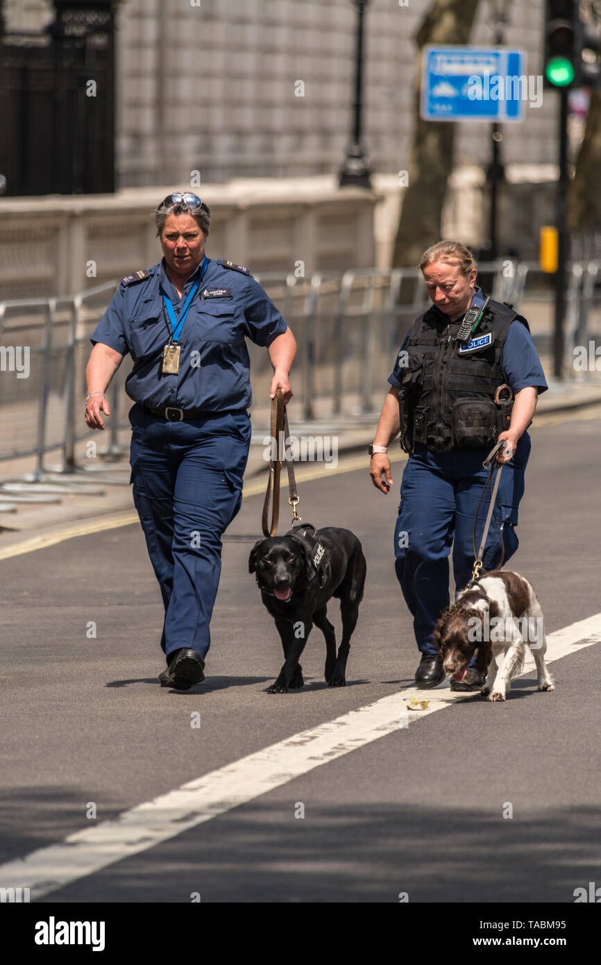 Police with sniffer dogs, Whitehall Stock Photo - Alamy