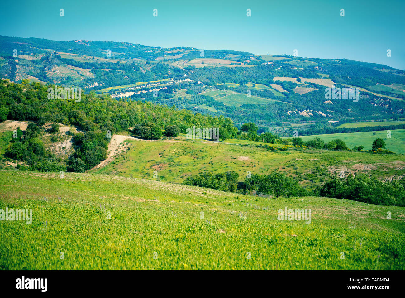 Beautiful landscape, spring nature, sunny fields on hills in Tuscany ...