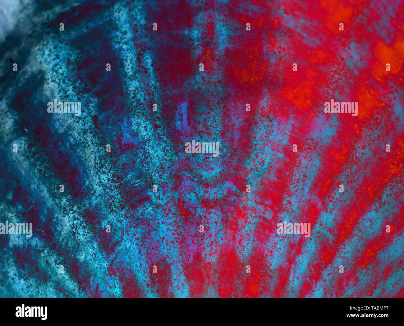 Background of seashell close-up macro in neon light . Mollusk seashell ...