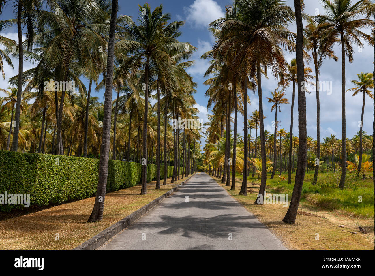 Mustique Island is an exclusive, paradise, getaway and Caribbean ...