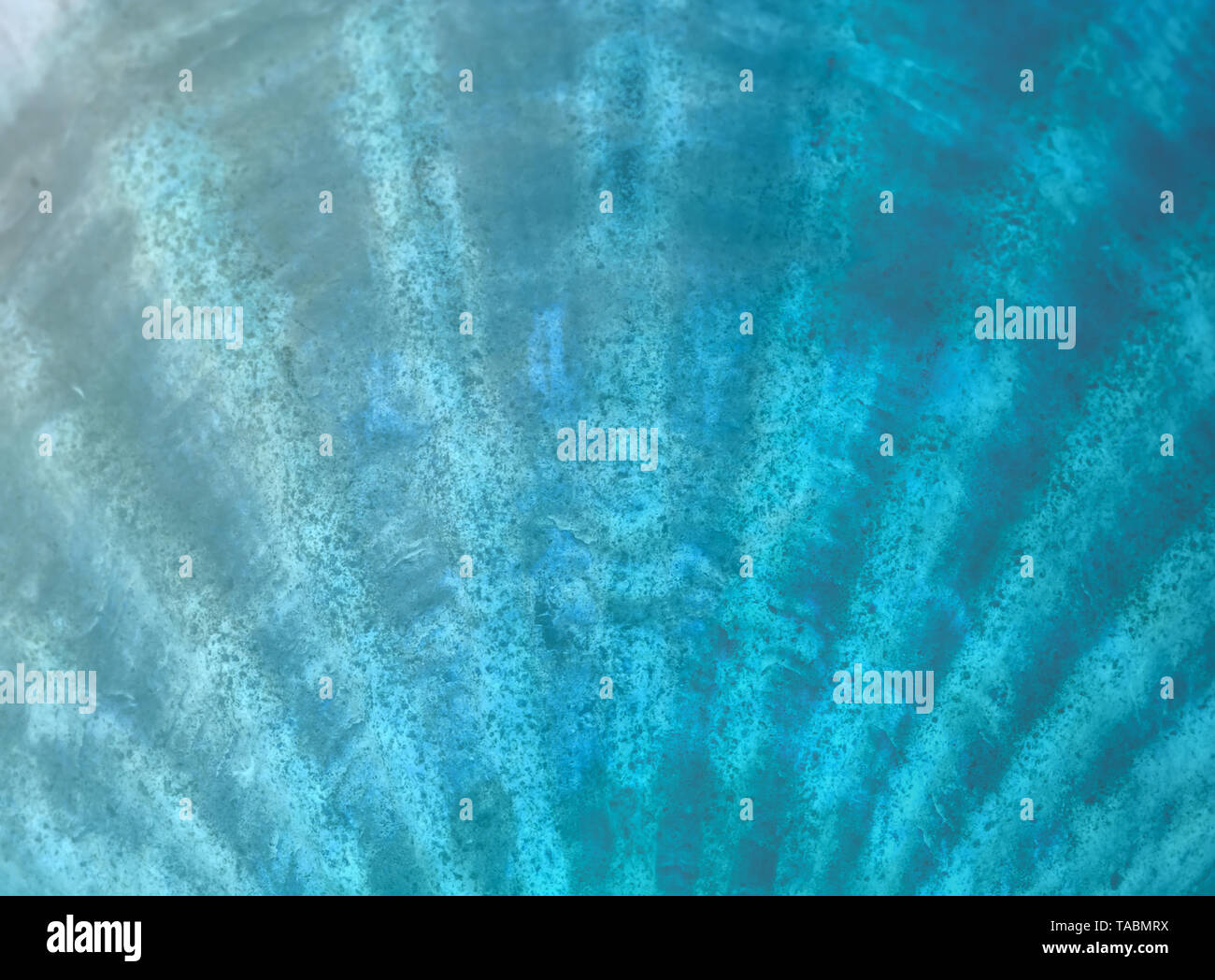 Background of seashell close-up macro in neon light . Mollusk seashell ...