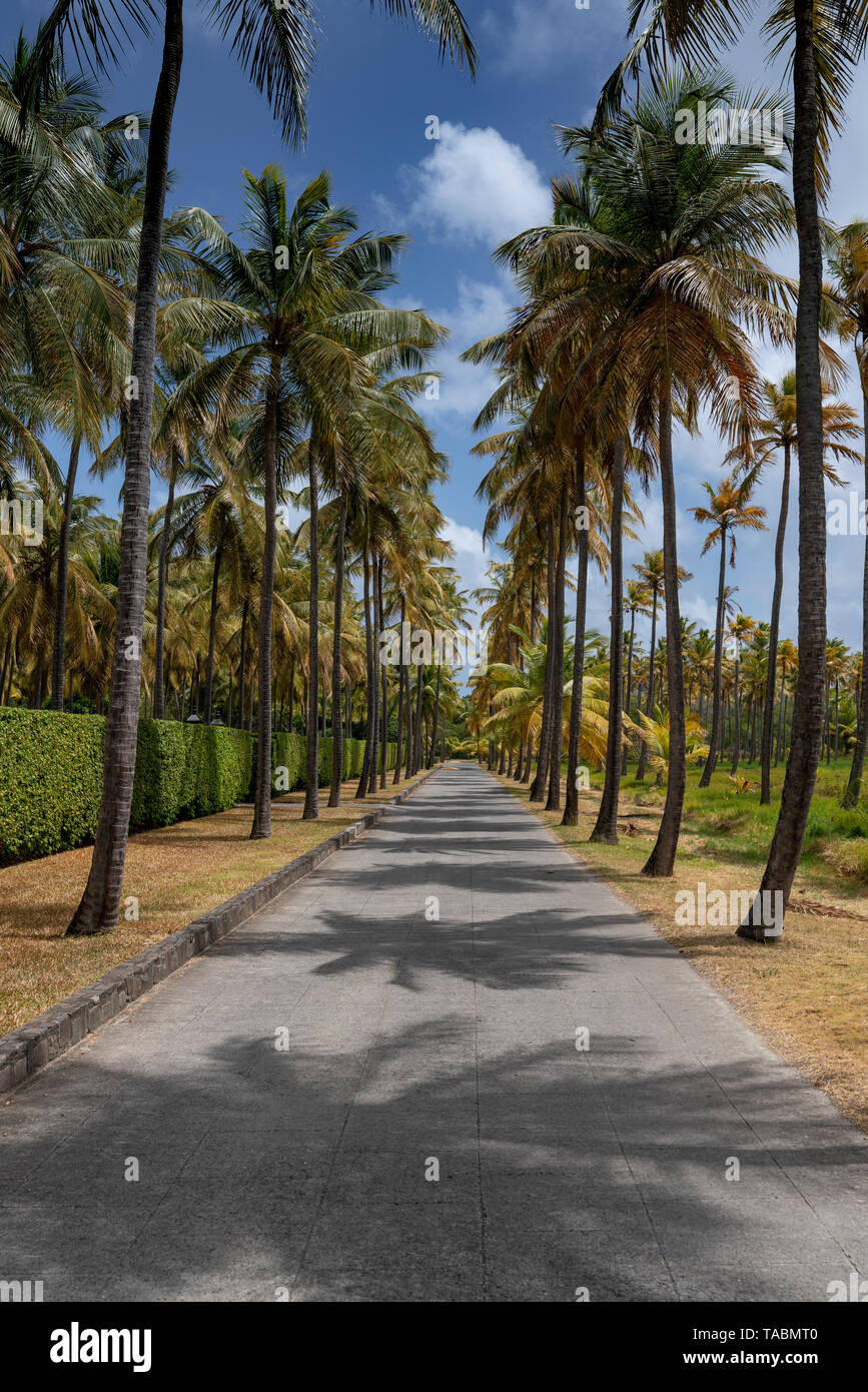 Mustique Island is an exclusive, paradise, getaway and Caribbean ...