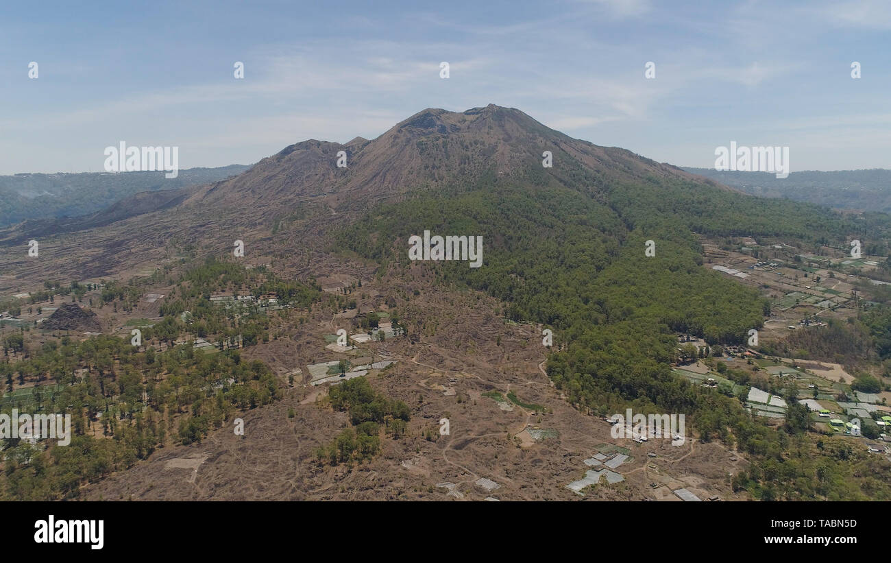 Aerial view volcano batur covered with vegetation mountain landscape ...