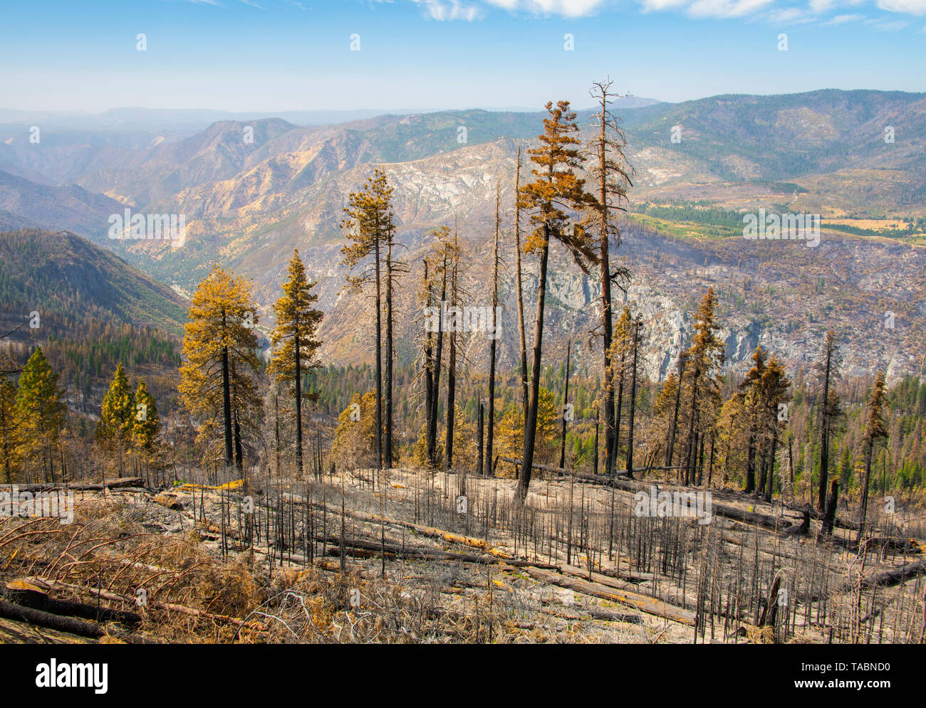 Wildfire aftermath hi-res stock photography and images - Alamy