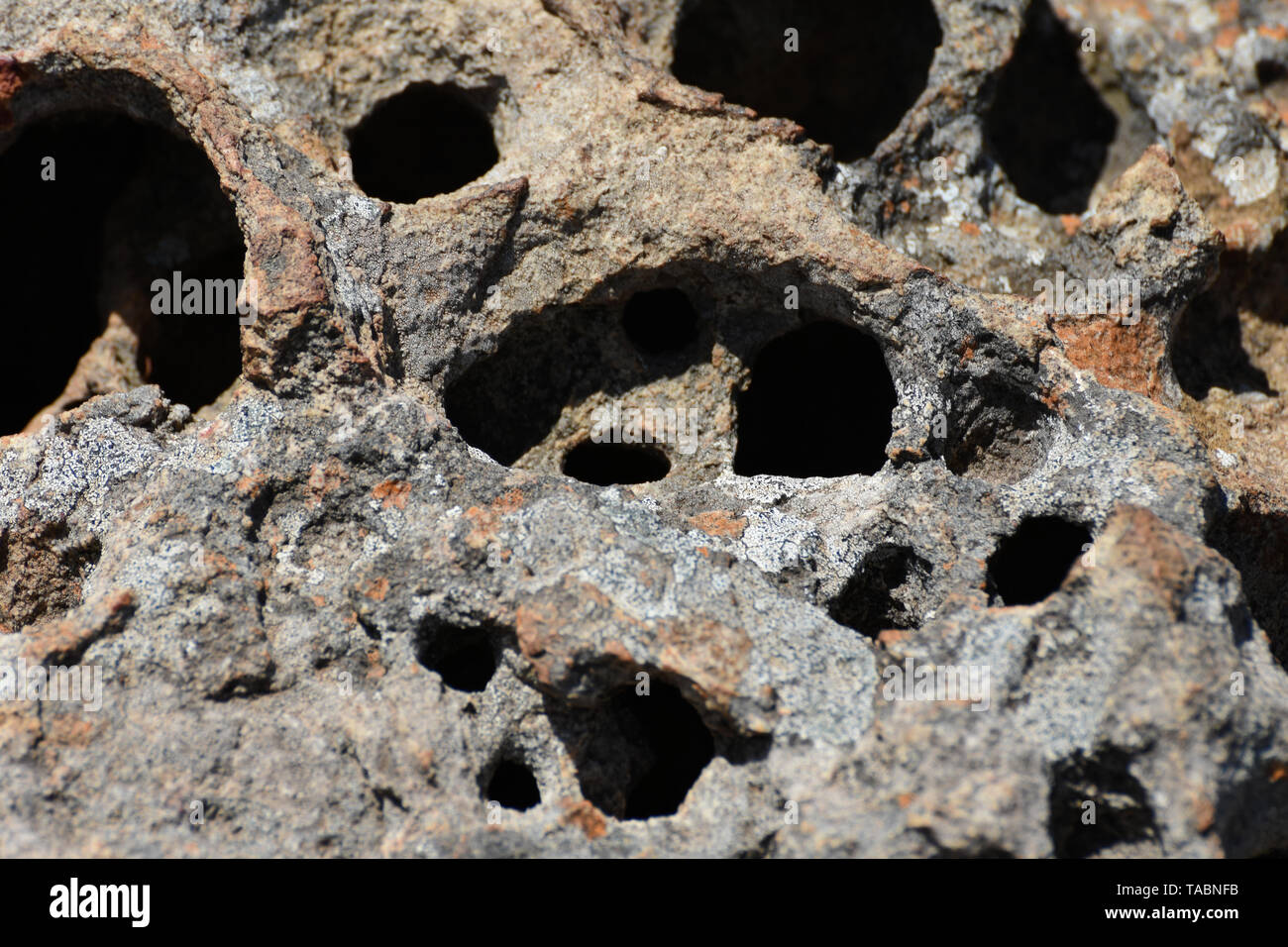 Porous structure hi-res stock photography and images - Alamy