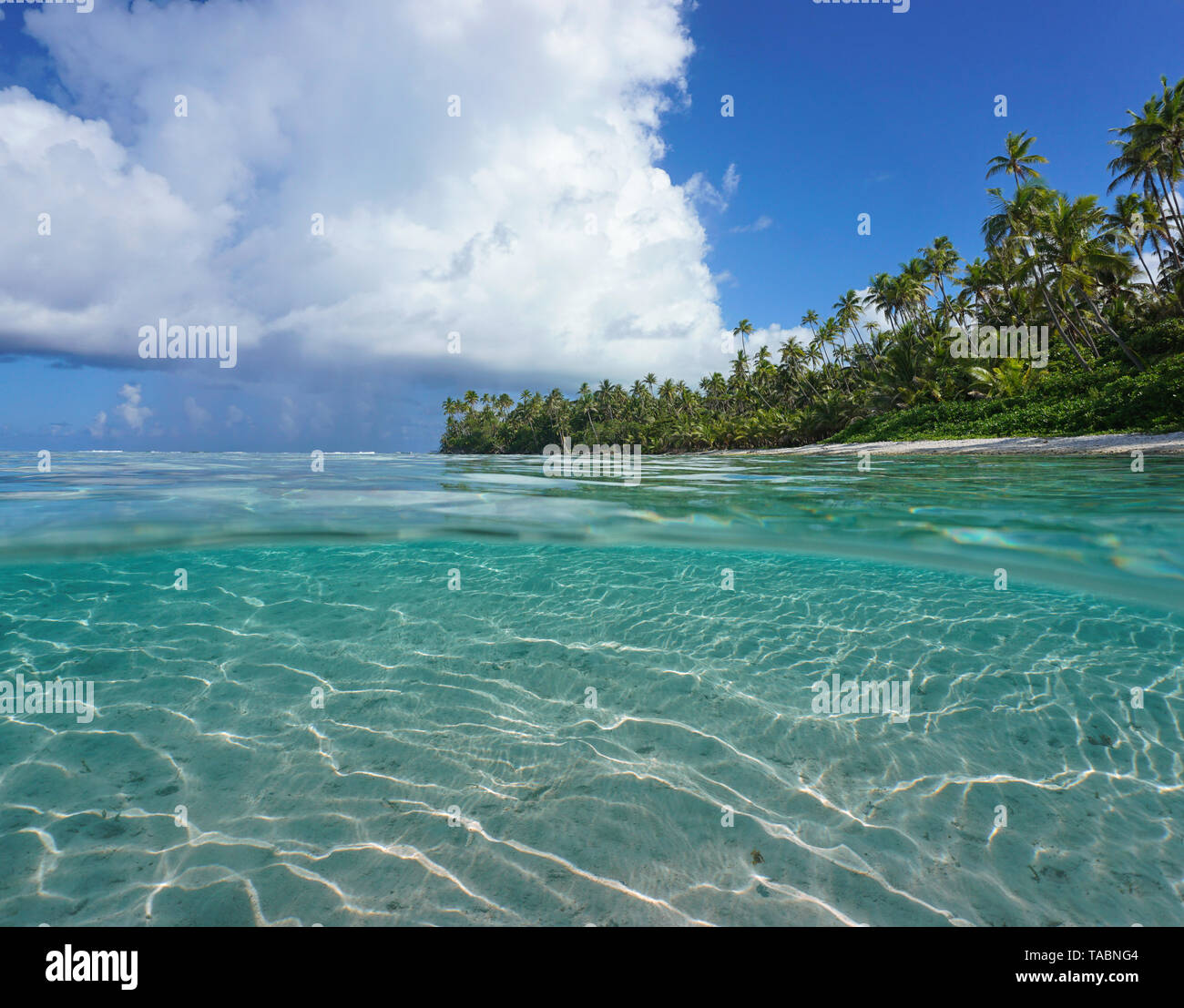 Tropical island coast with lush vegetation and sand underwater, Huahine ...