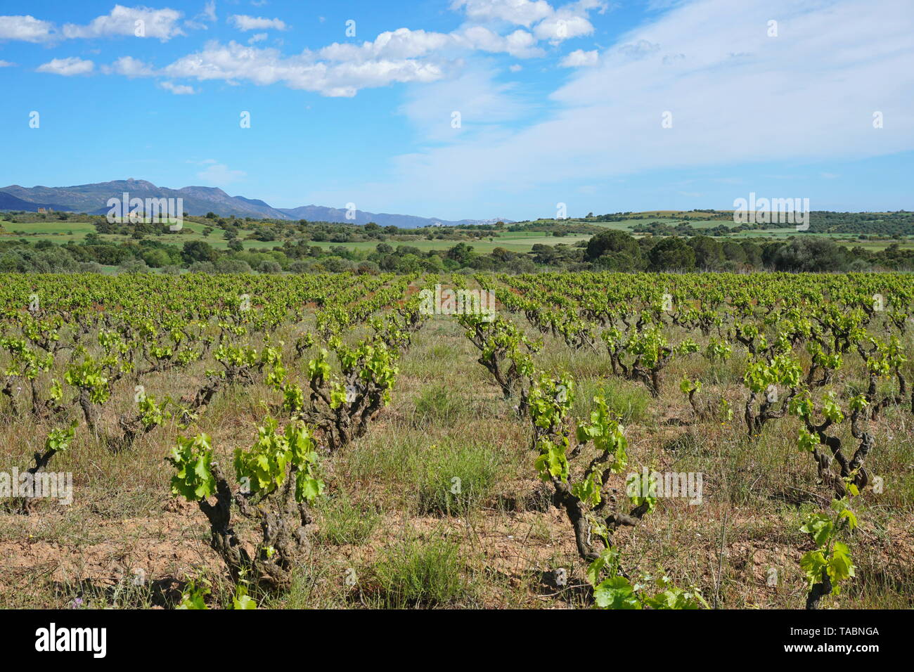 Mollet de peralada hi-res stock photography and images - Alamy