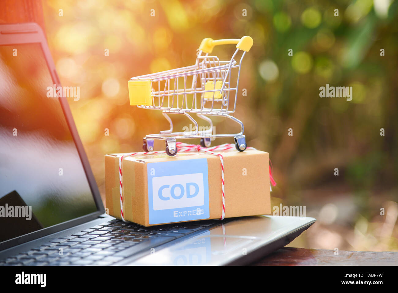 cash on delivery express shipping laptop ecommerce shopping online and ...
