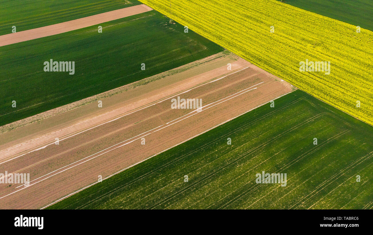 Colorful patterns in crop fields at farmland, aerial view, drone photo ...