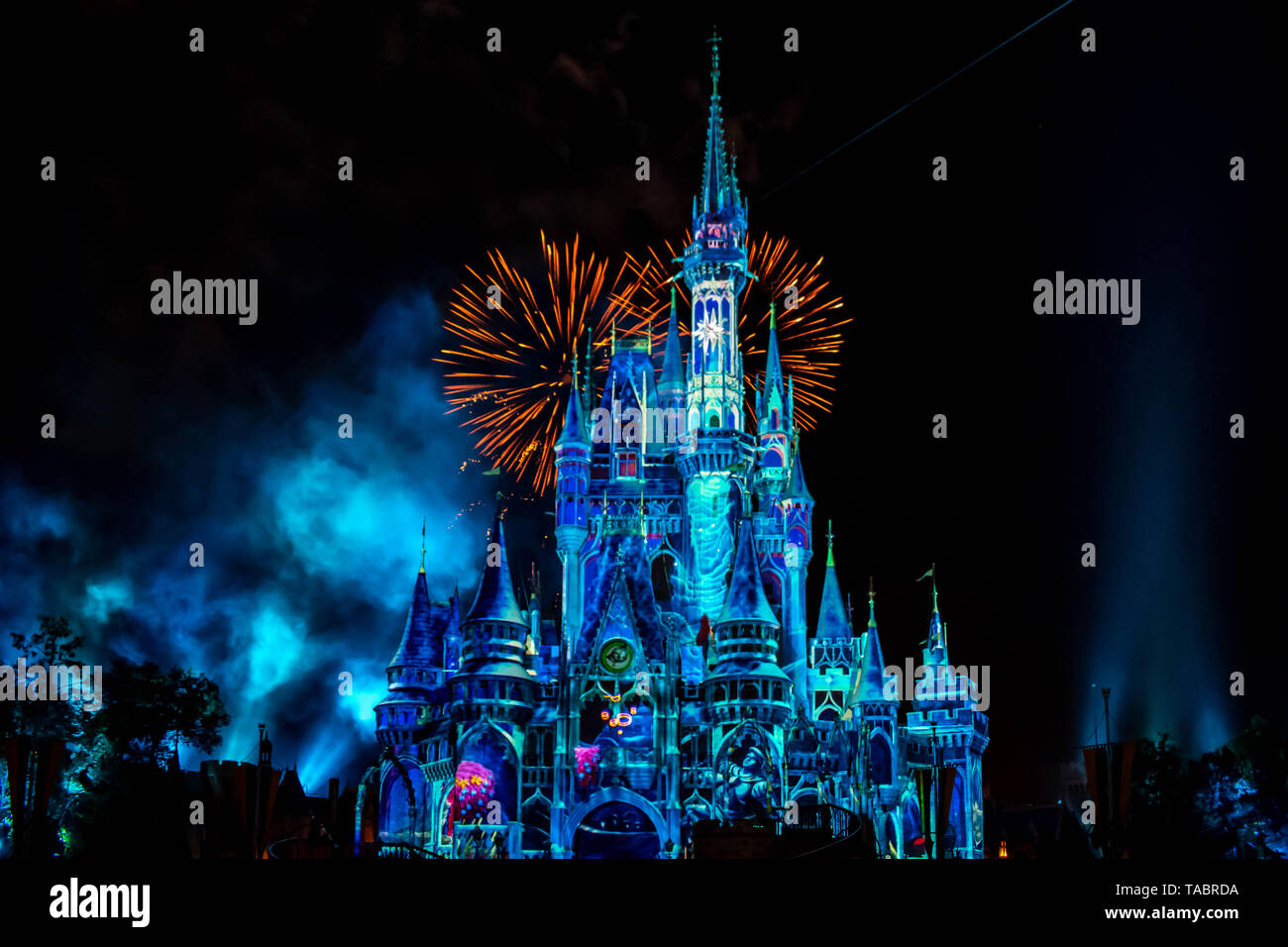 Disney World Background Night