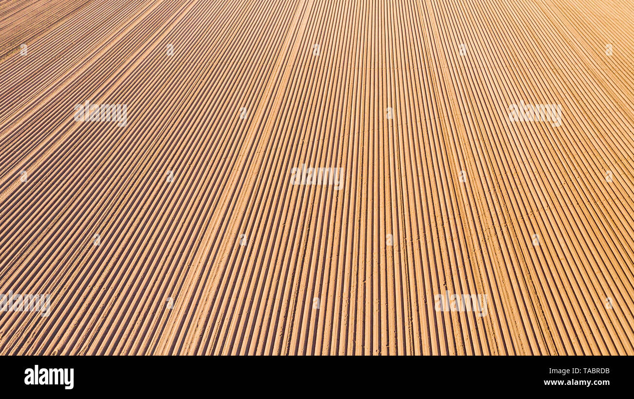 Aerial view, Rows of soil before planting,row pattern in a plowed field ...