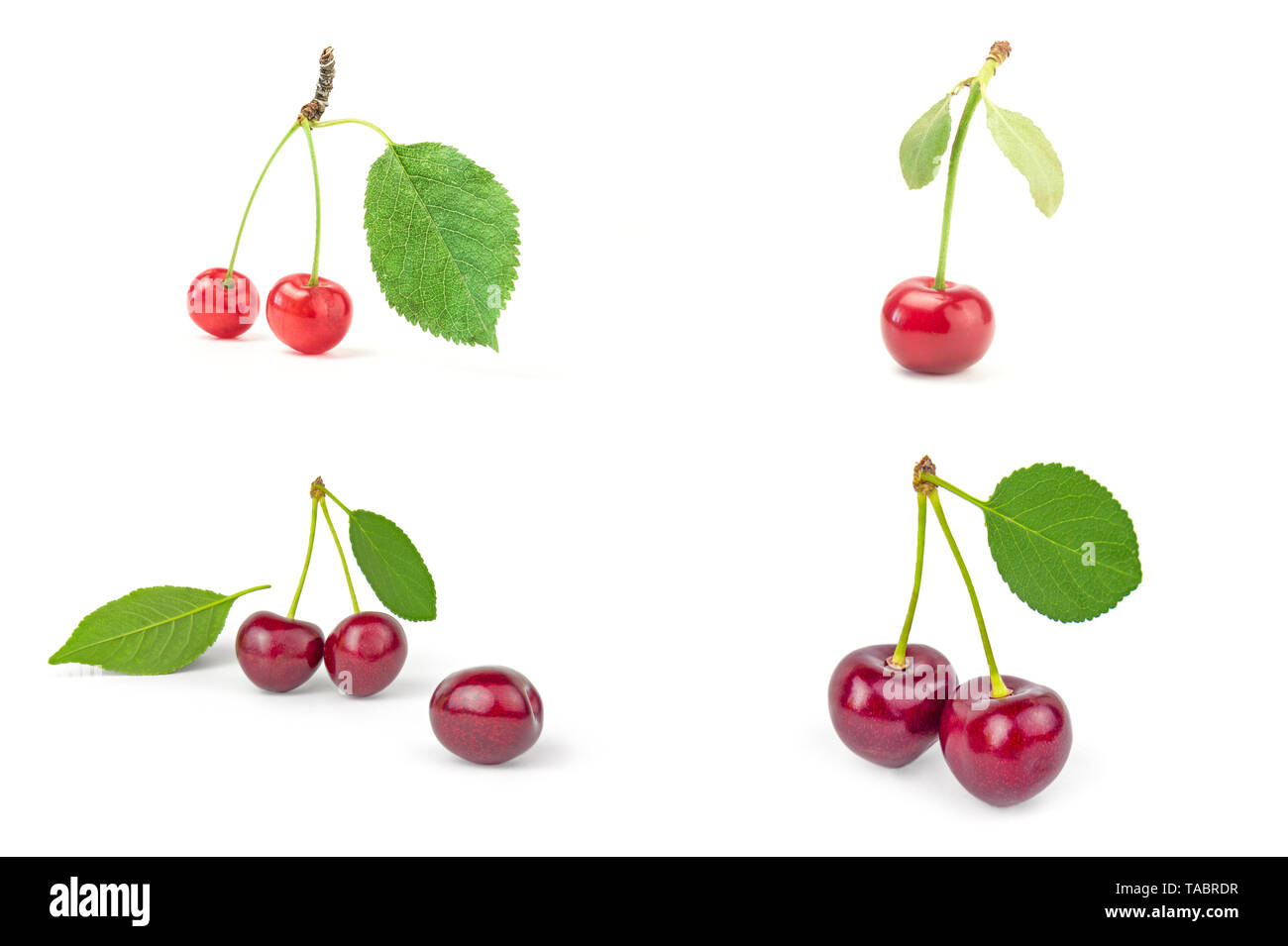 Collage of Fresh cherry isolated on a white background cutout Stock ...