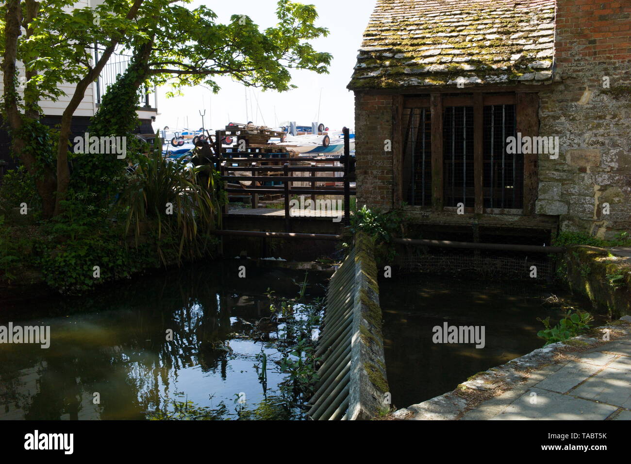 Christchurch race hi-res stock photography and images - Alamy
