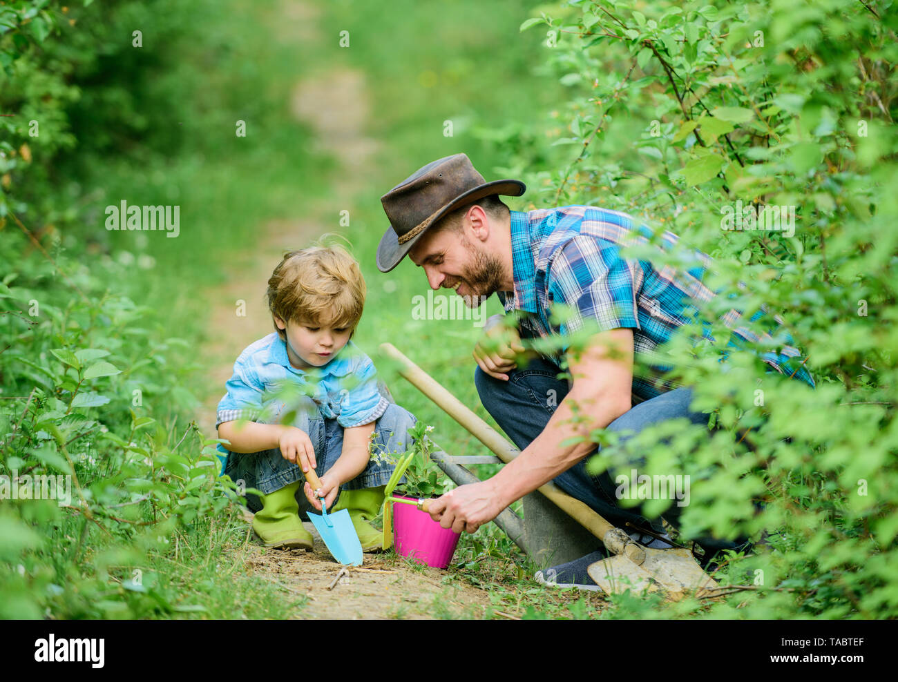 small boy child help father in farming. Eco farm. father and son in ...