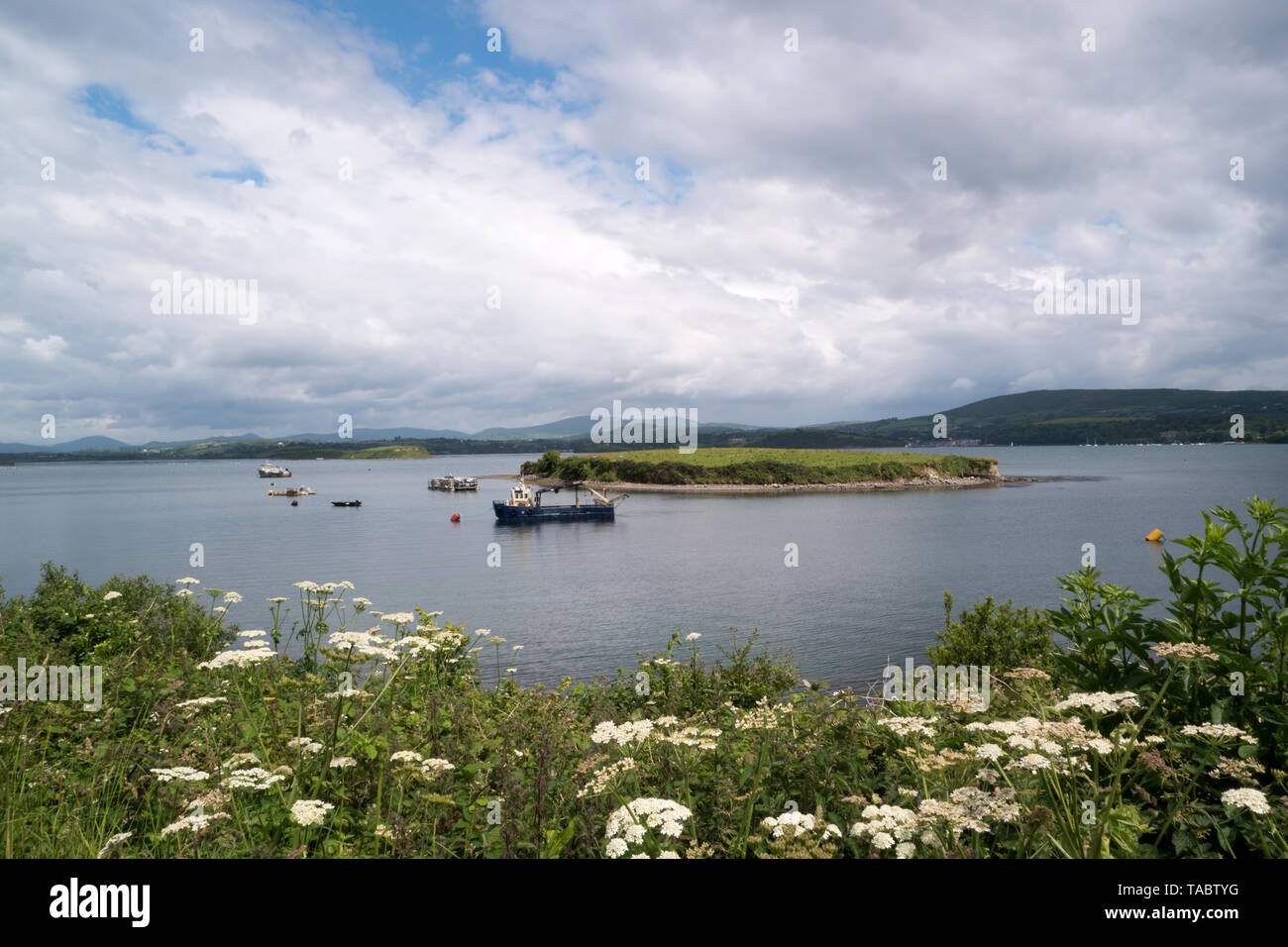 Beautiful view of Bantry Bay as seen from Whiddy Island in County Cork ...