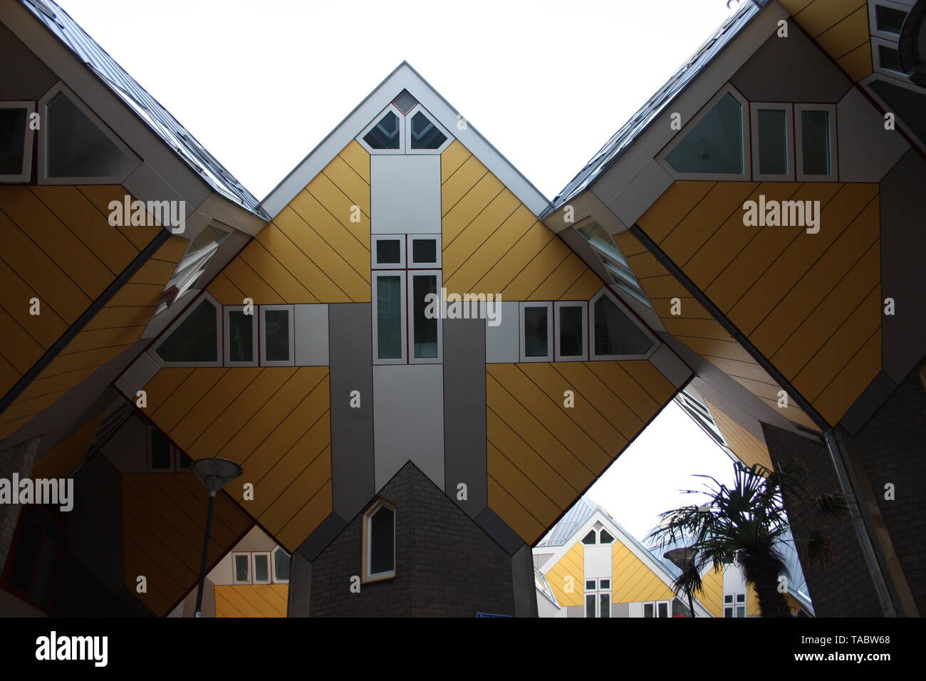 apartments and offices inside the cubic houses of Rotterdam ...