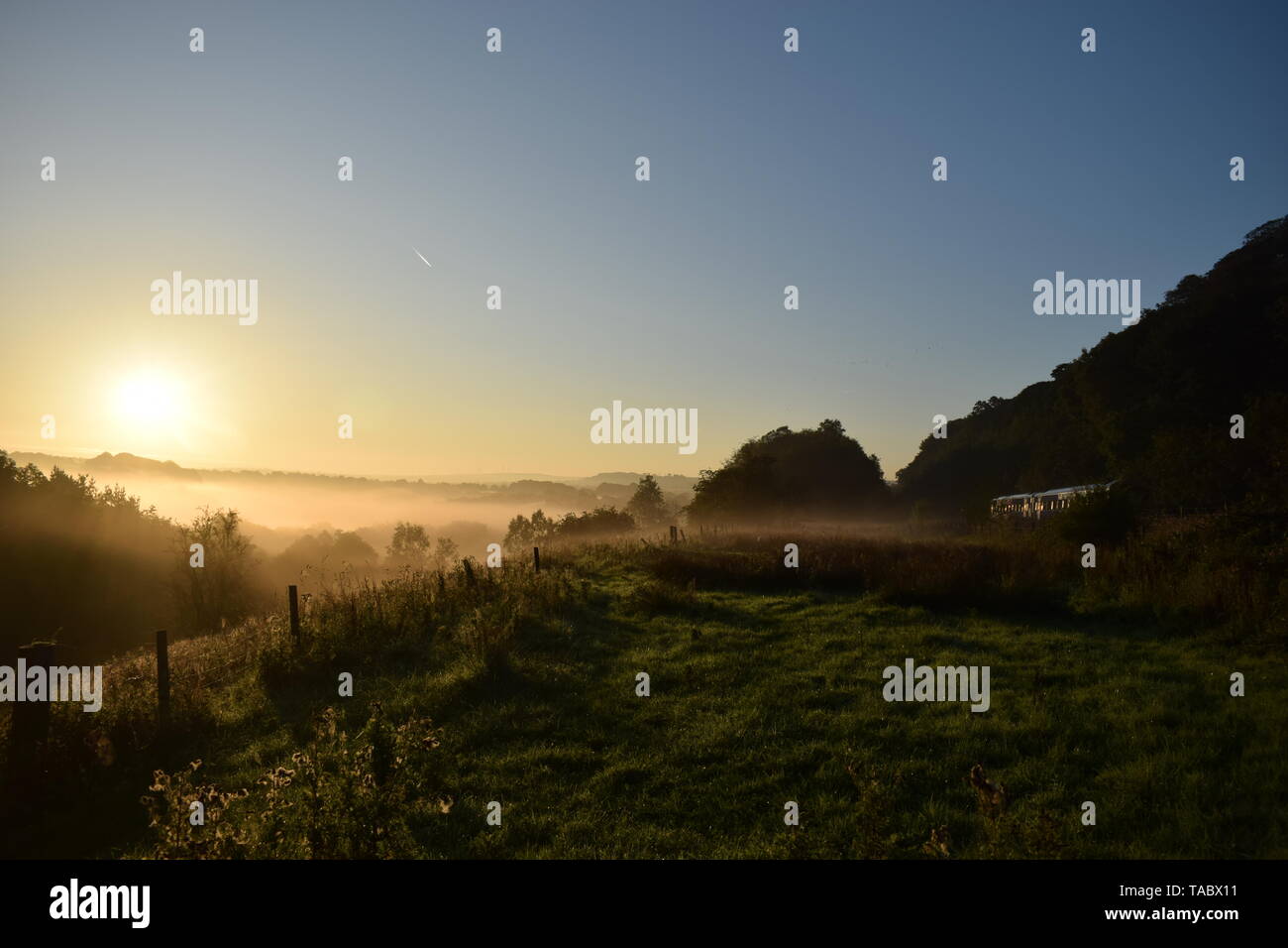 Early morning train in the valley Stock Photo - Alamy