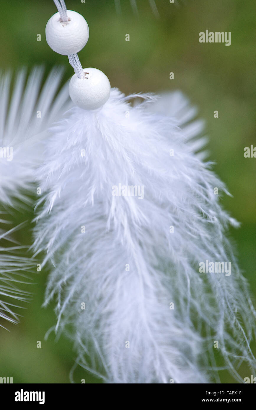 White feathers of a dove bird tied with leather string from dream ...