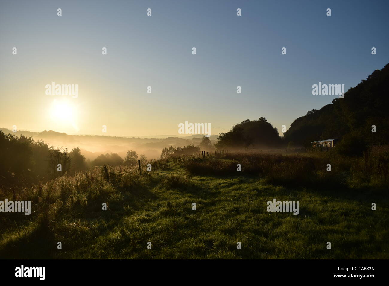 Early morning train in the valley Stock Photo - Alamy