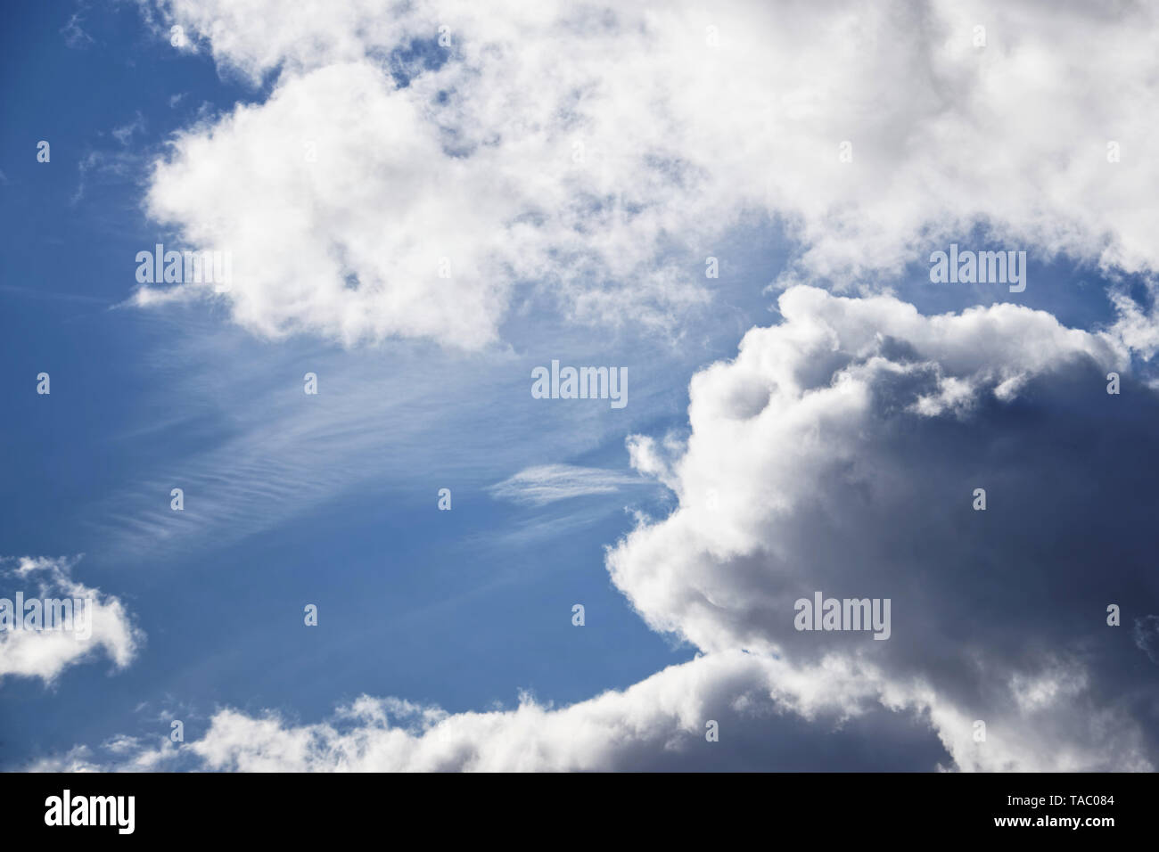 White rain clouds in the sunny spring sky. It will rain soon. Weather ...