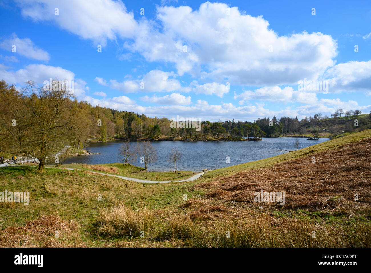 Tarn hows circular walk cumbria hi-res stock photography and images - Alamy