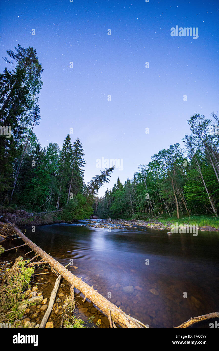 scenic river view landscape of forest rocky stream with trees on the ...