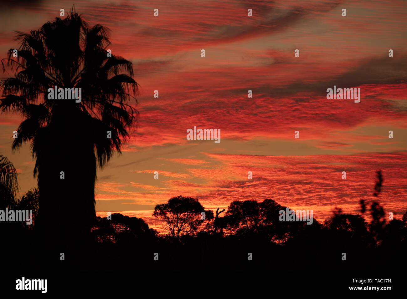 The colour of smoke filled clouds at sunset hi-res stock photography ...