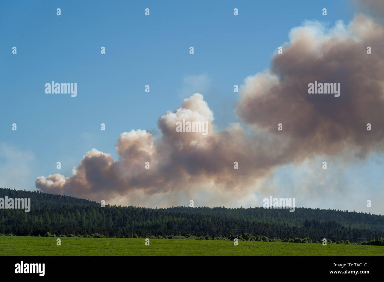 16 & 17 May 2019, Dunphail, Moray, Scotland, UK. This is scenes from a ...